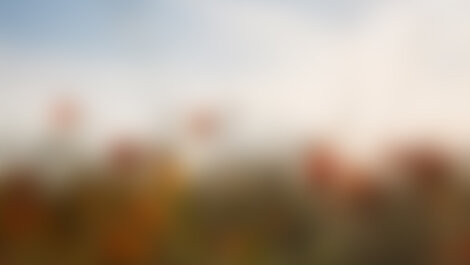 Electronic circuit breakers | BLOCK perfecting power